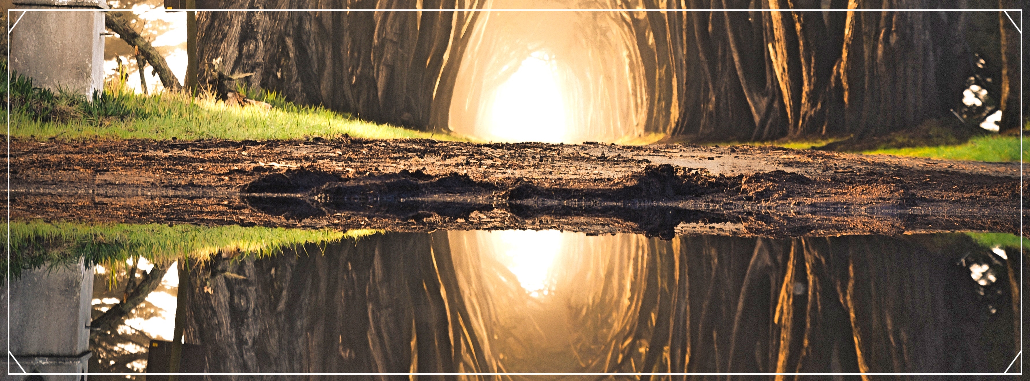 casey-horner-623944-unsplash_Fotor – The Resource